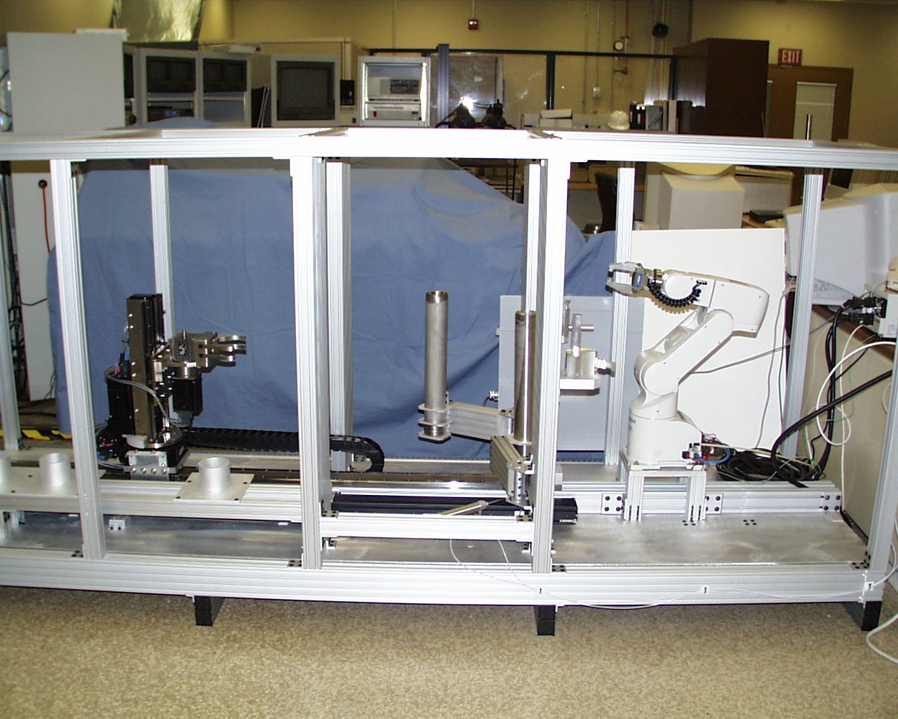 Plutonium Immobilization Can Inspection System