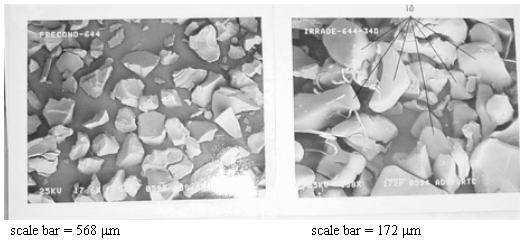 Effects of Radiation on the Physical Properties of SuperLig 44 Resin