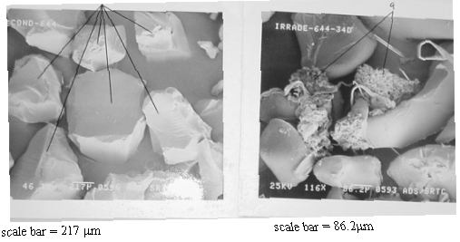 Effects of Radiation on the Physical Properties of SuperLig 44 Resin