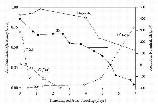 Impact of Returning the TNX Outfall Delta to a Wetter Condition ...